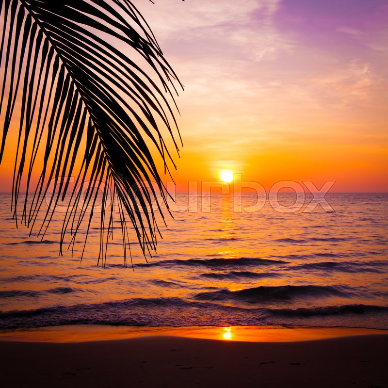 Beach Sunset Landscape