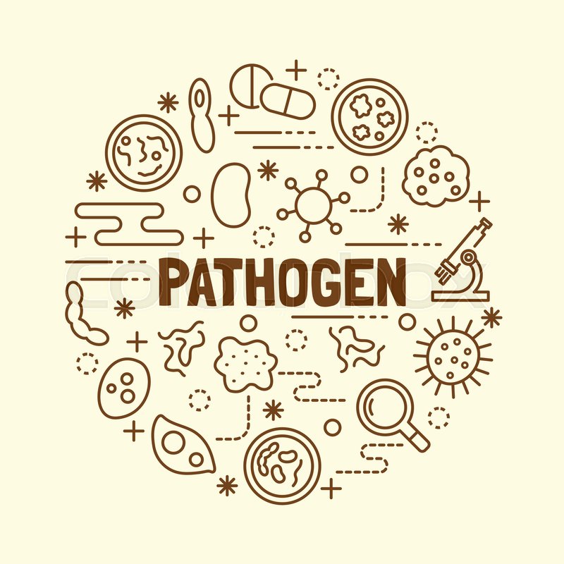 Pathogen minimal thin line icons set, ... | Stock vector | Colourbox