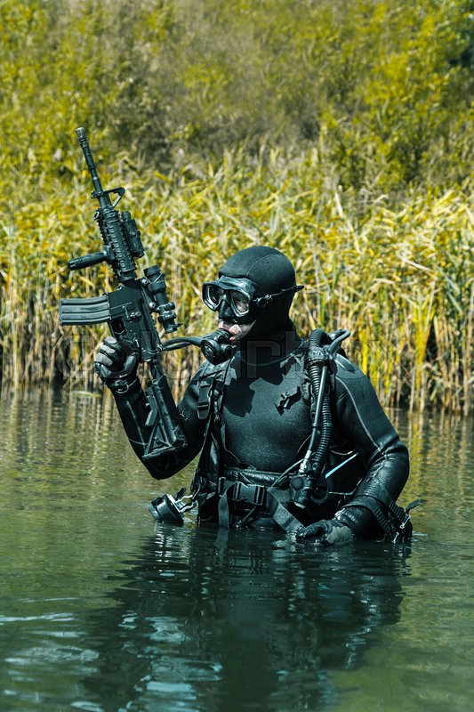 Navy Seal Frogman Logo