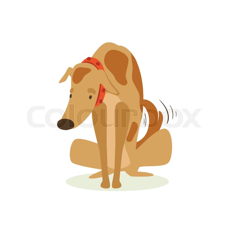 Guilty Brown Pet Dog Being Scolded , ... | Stock vector | Colourbox