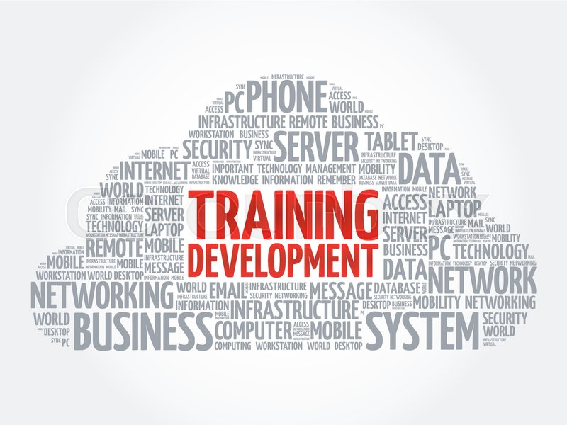 Training development word cloud ... | Stock vector | Colourbox