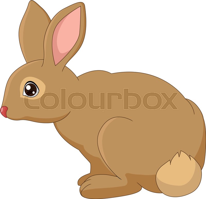 Illustration of Cute rabbit cartoon | Stock vector | Colourbox