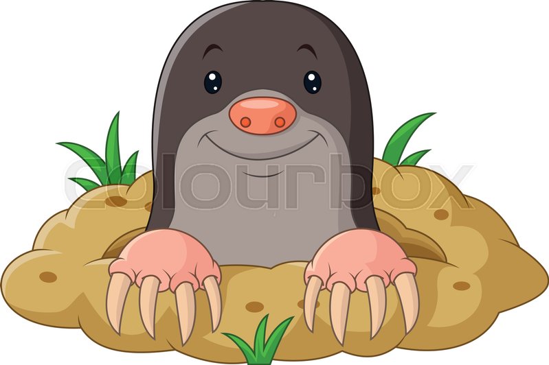 Illustration of Cartoon funny mole | Stock vector | Colourbox