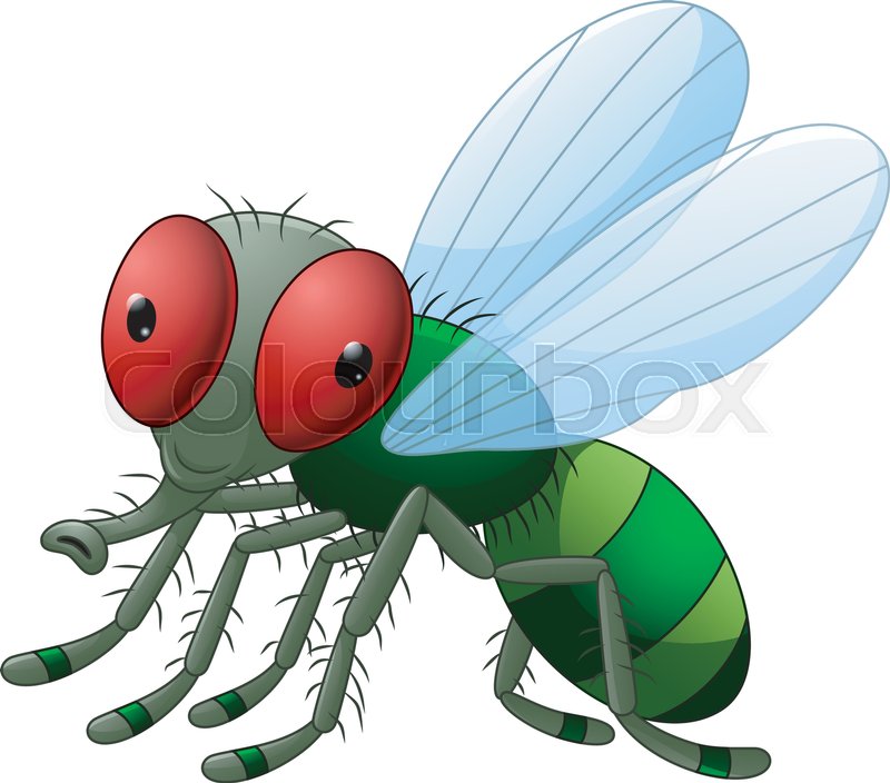 Cute Cartoon Flies
