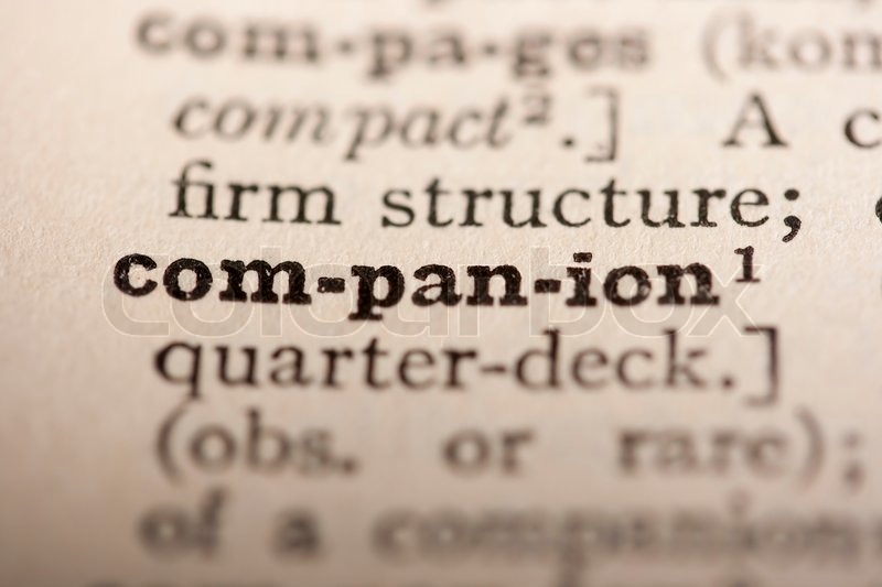 Word companion from the old dictionary, ... | Stock image | Colourbox