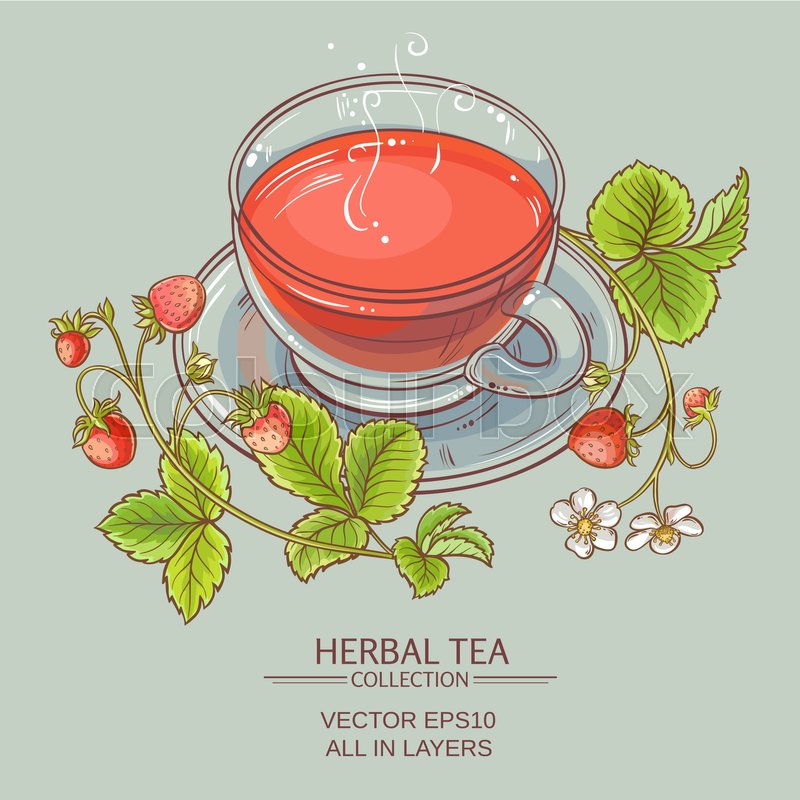 Cup of srtawberry tea on color ... | Stock vector | Colourbox