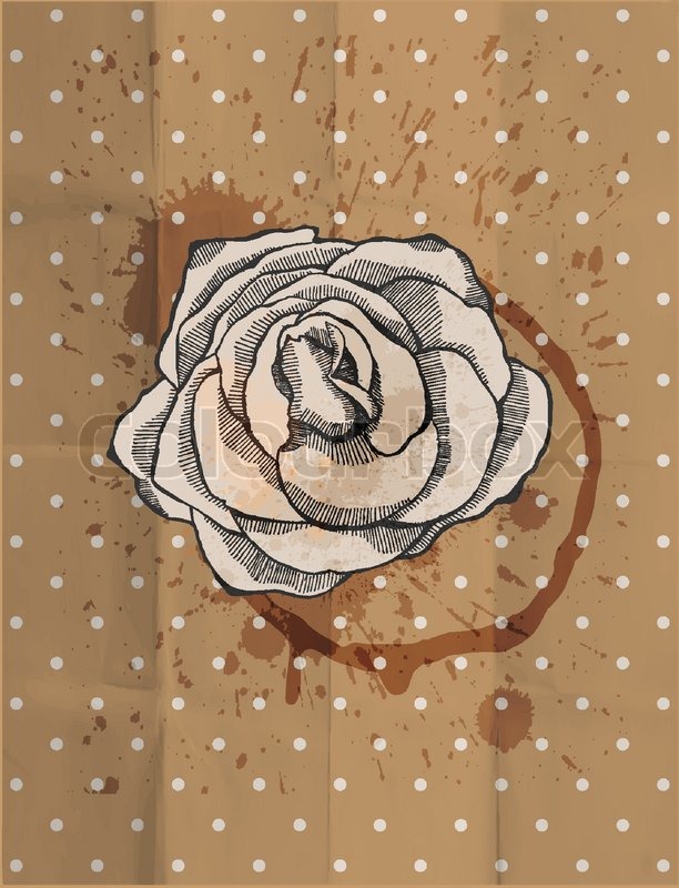 Vintage design. Tea rose. Paper grunge ... | Stock vector | Colourbox