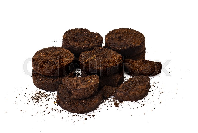 Waste coffee. Studio Photo | Stock Photo | Colourbox