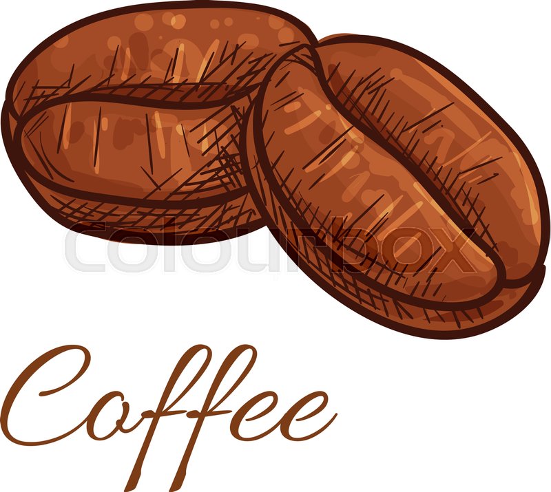 Coffee Bean Drawing