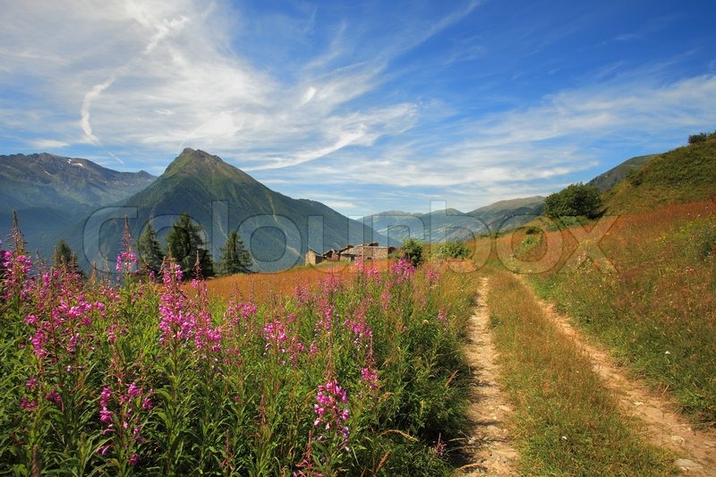 View on beautiful alpine fields and ... | Stock image | Colourbox