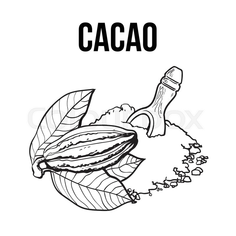 Hand drawn heap of cocoa powder with a ... | Stock vector | Colourbox