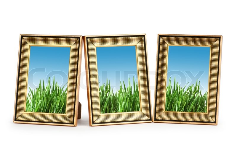 Green grass in the picture frames | Stock image | Colourbox