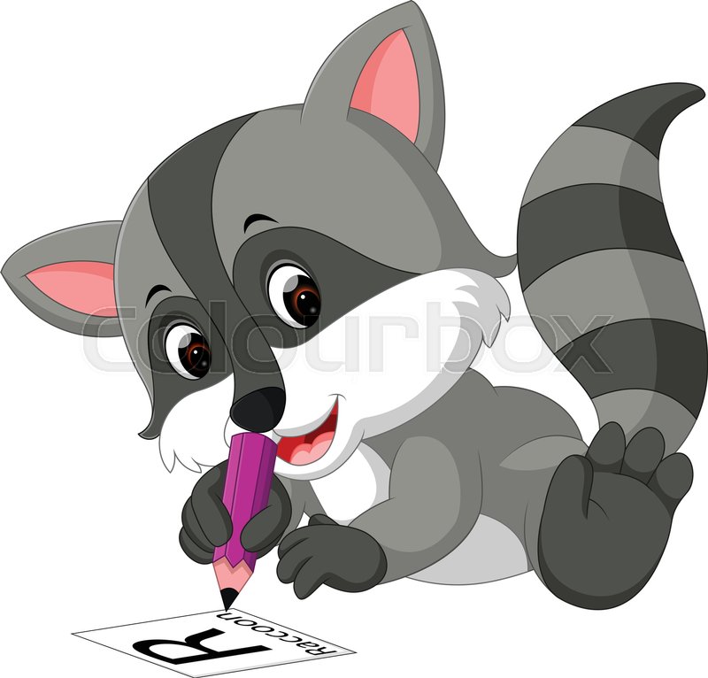 Raccoon cartoon | Stock vector | Colourbox
