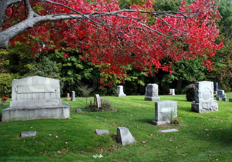 Cemetery in Autumn | Stock image | Colourbox