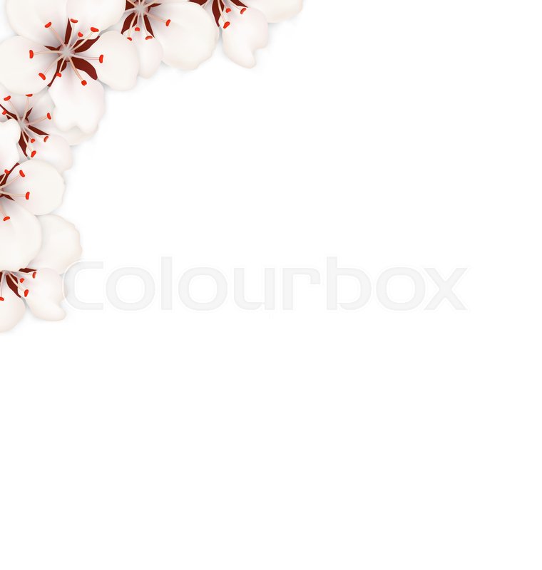 Illustration Border Made in Sakura ... | Stock vector | Colourbox
