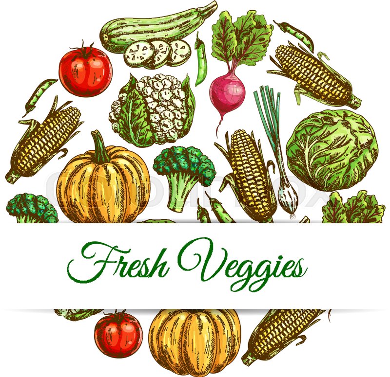 Veggies poster. Vector sketch ... | Stock vector | Colourbox