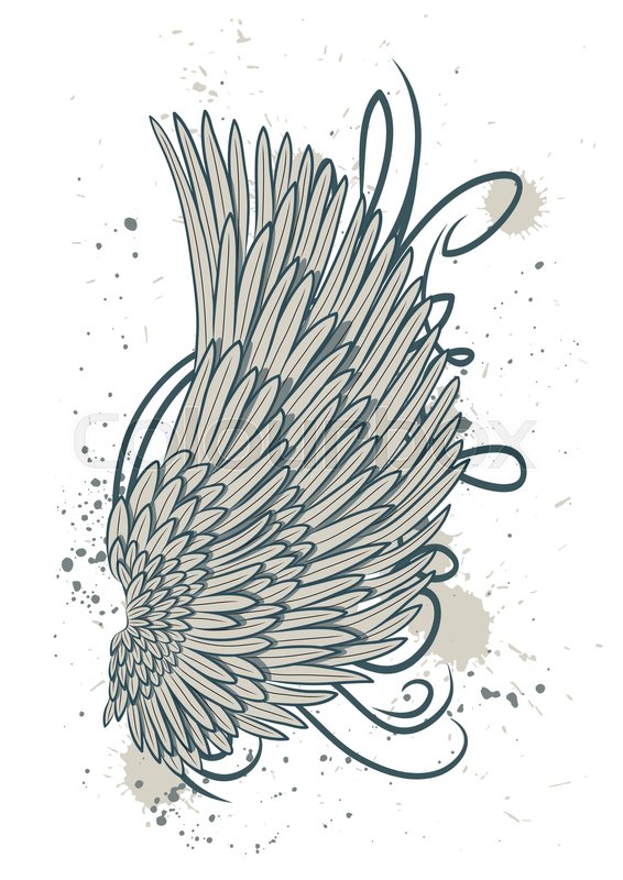Vector angel wing with swirls and ... | Stock vector | Colourbox