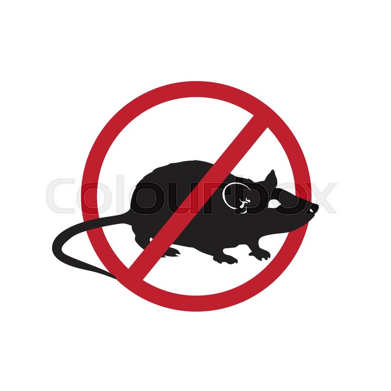Vector icon for stop rat on white ... | Stock vector | Colourbox