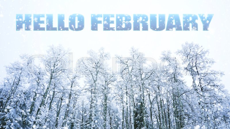 February Winter Backgrounds