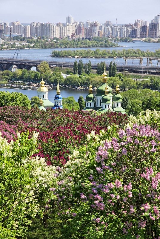 Kyiv Botanical Garden in spring, ... | Stock image | Colourbox