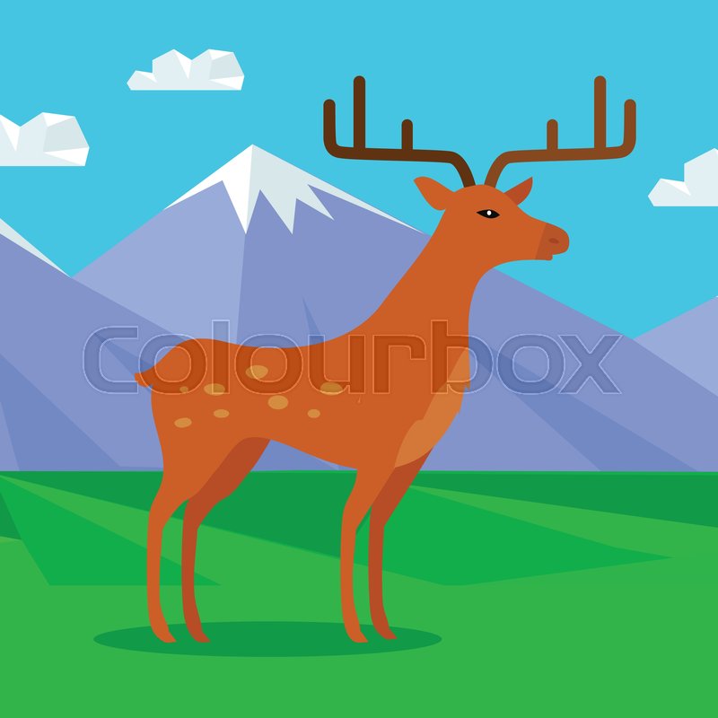 Young fallow deer male with horns on ... | Stock vector | Colourbox