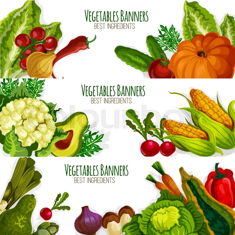 Vegetables banners of vector veggies ... | Stock vector | Colourbox