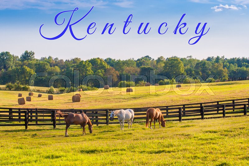 Kentucky Scenery Summer