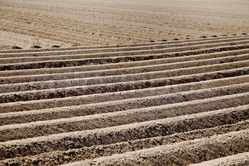A freshly plowed field in agriculture | Stock image | Colourbox