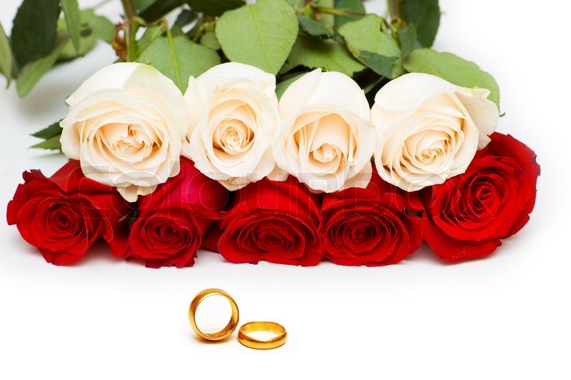 Bryllup koncept med roser og ringe | Stock foto | Colourbox