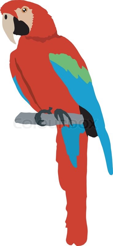 Ara | Stock vektor | Colourbox