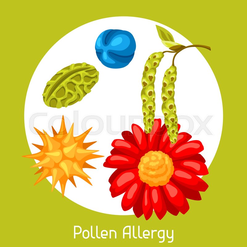 Pollen allergy. Vector illustration ... | Stock vector | Colourbox