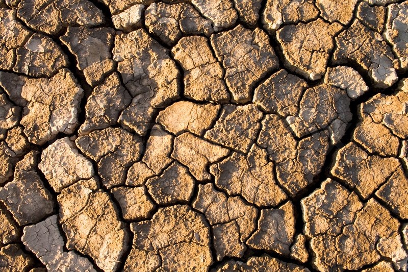 The soil in the fissures appeared on ... | Stock image | Colourbox