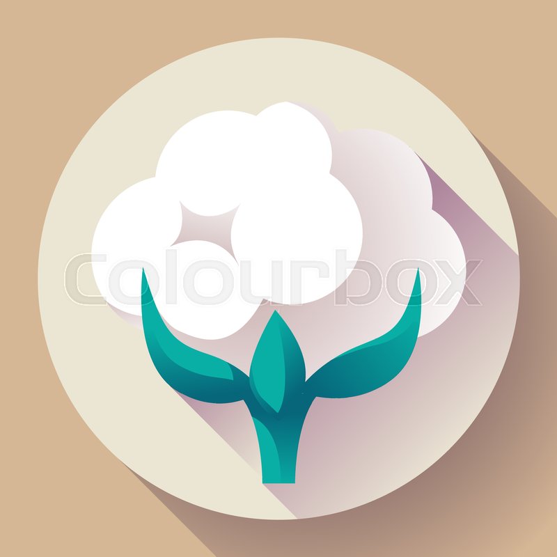 Flat Cotton icon vector. cotton plant, ... | Stock vector | Colourbox