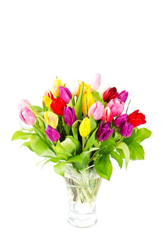 Bunten Strauß frischer Tulpen isoliert ... | Stock Bild | Colourbox