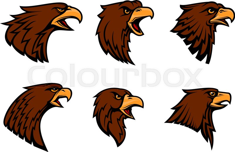 Hawk vector icons for sport team ... | Stock vector | Colourbox