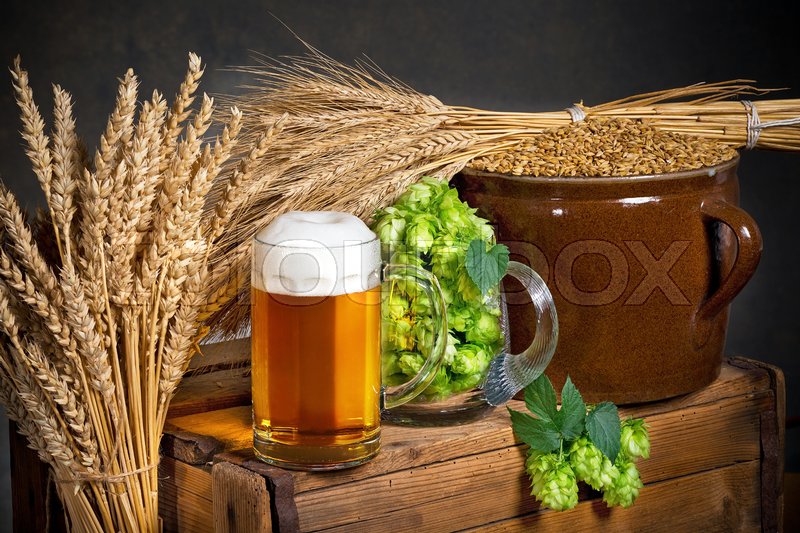 Glass of beer with raw material for ... | Stock Photo | Colourbox