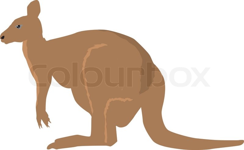 Kangaroo | Stock vector | Colourbox