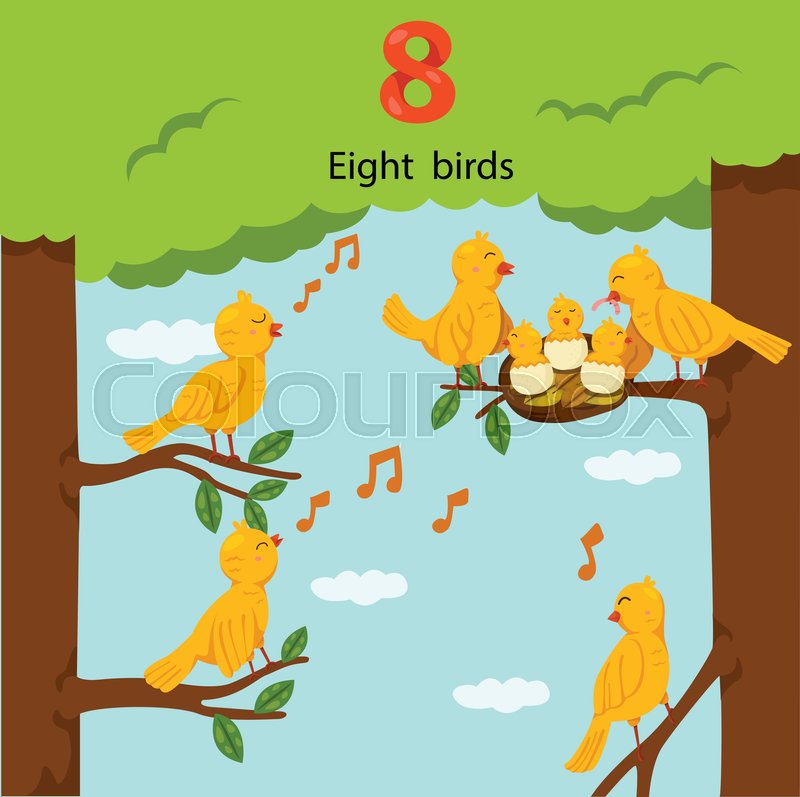 Illustrator of number eight birds | Stock vector | Colourbox