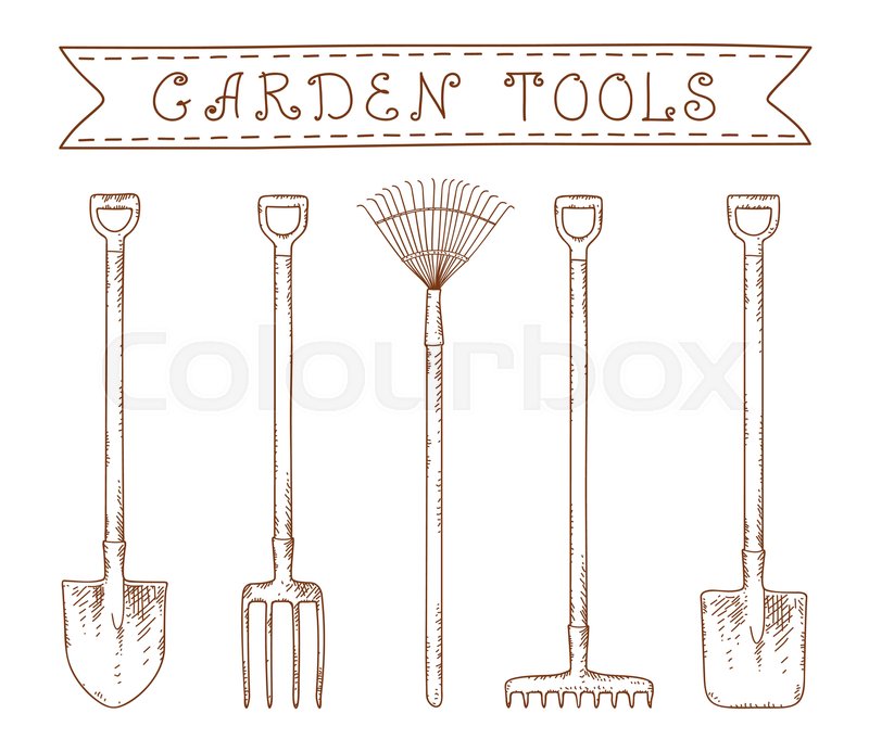 Collection of sketch hand drawn garden ... | Stock vector | Colourbox