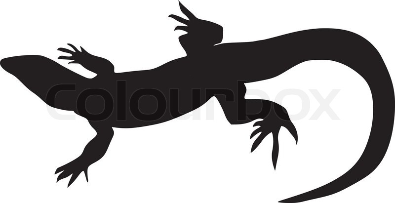 Lizard | Stock vector | Colourbox