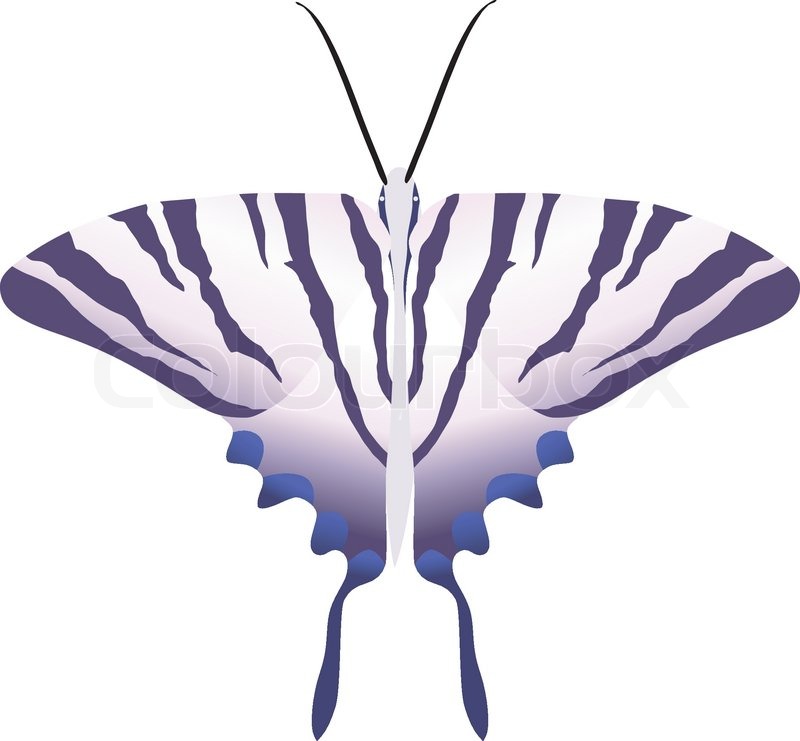 Swallowtail butterfly | Stock vector | Colourbox