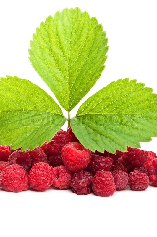 Fresh raspberry and green leaf isolated ... | Stock image | Colourbox