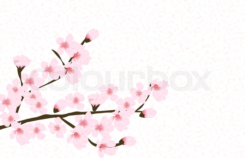 Abstract Floral Sakura Flower Japanese ... | Stock vector | Colourbox