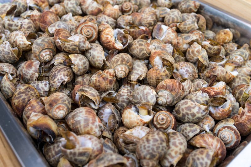 Close up of Snails baked with garlic ... | Stock image | Colourbox