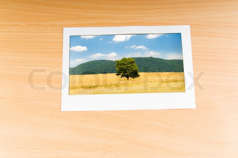 Picture frames with nature photos | Stock image | Colourbox