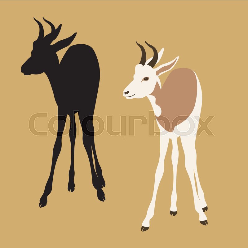 Antelope vector illustration style ... | Stock vector | Colourbox
