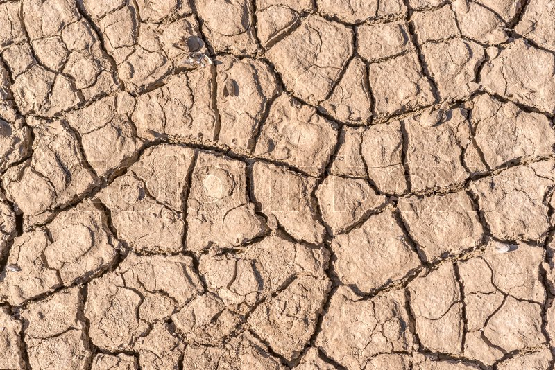 Dry ground as the background | Stock image | Colourbox