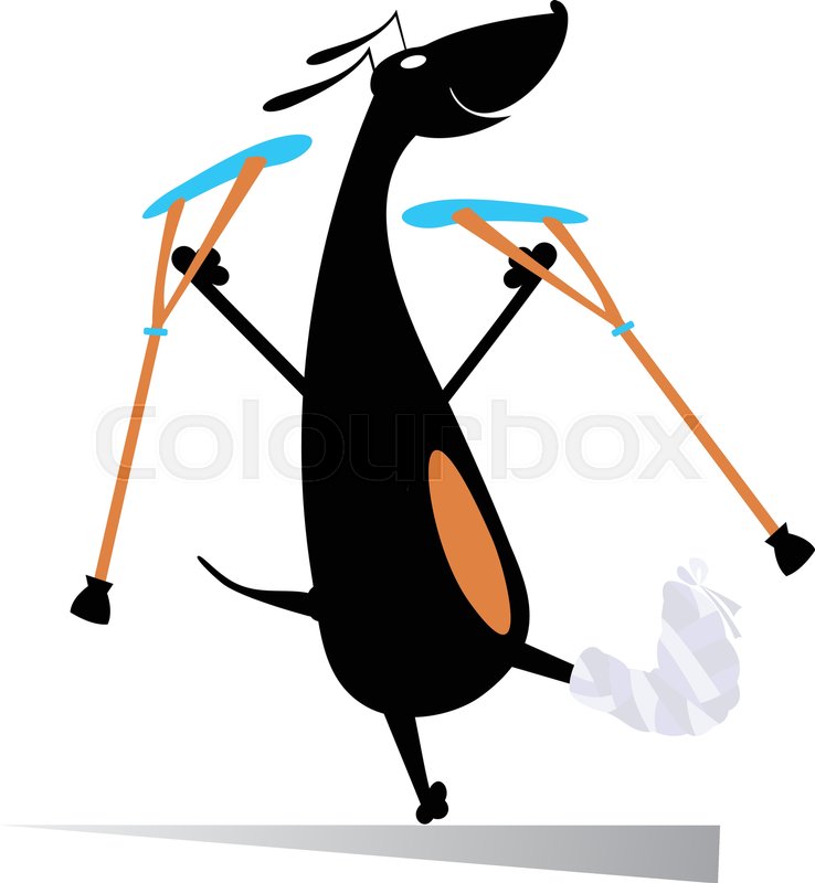 Comic dog with bandage and crutch | Stock vector | Colourbox