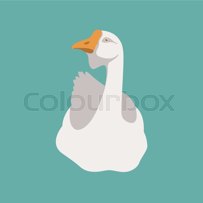 Goose vector illustration style Flat | Stock vector | Colourbox