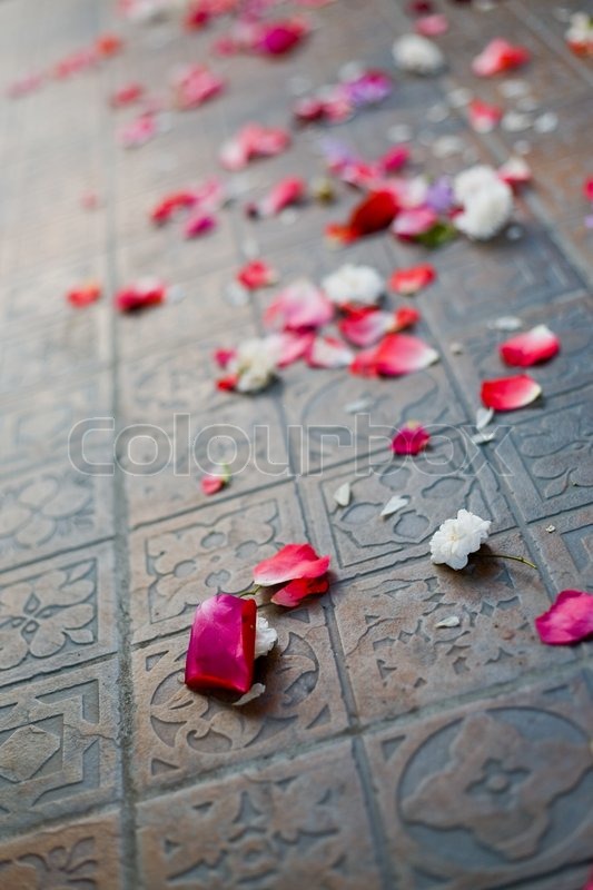 Sparse rose petals on the floor after ... | Stock image | Colourbox